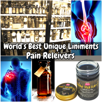 Wild Bee - Progress and Honour